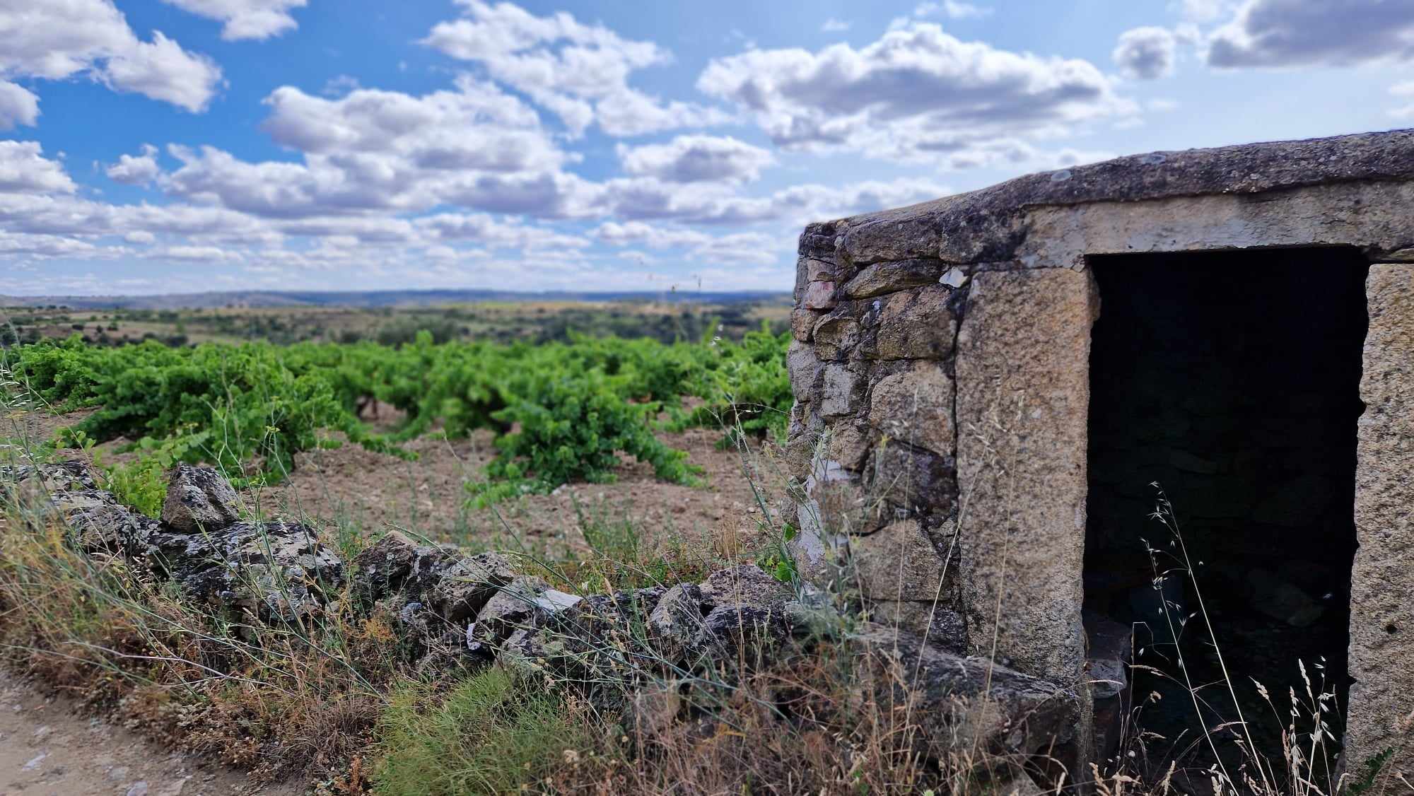 Intro: El Hato y el Garabato “one to watch” – Hvad Drikker Man Til?